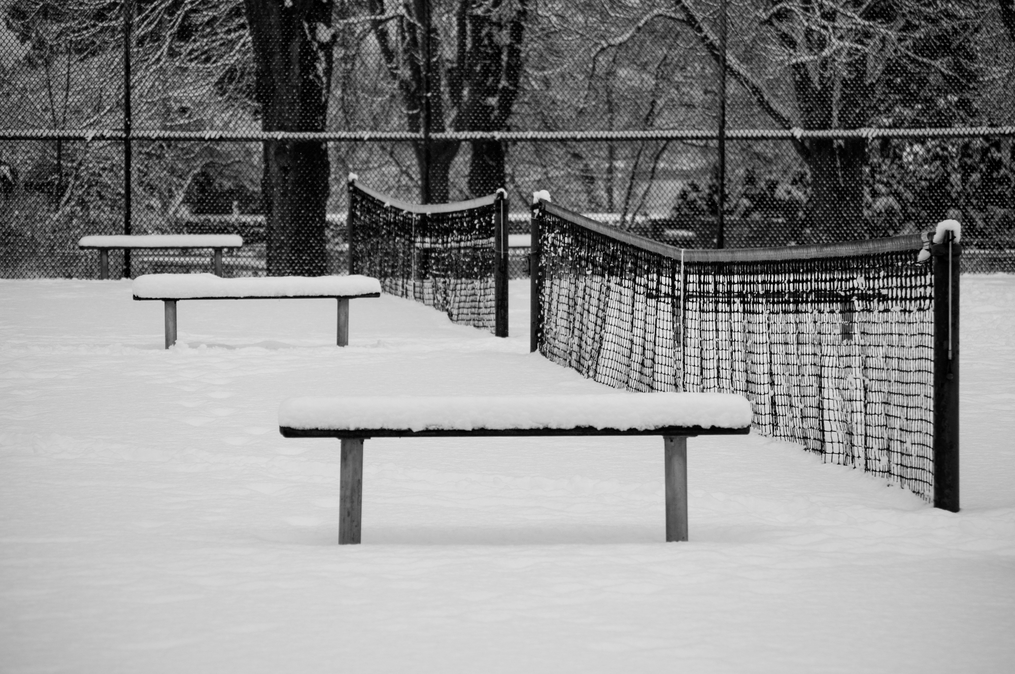 6 Useful Ways To Prepare Your Sports Court For Winter | Precise ...